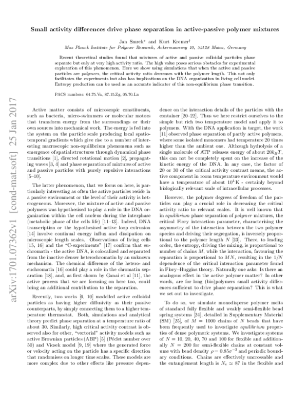 (PDF) Small Activity Differences Drive Phase Separation in Active-Passive Polymer Mixtures