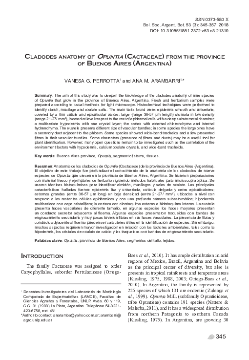 (PDF) Anatomía de los cladodios de Opuntia (Cactaceae) de la provincia ...