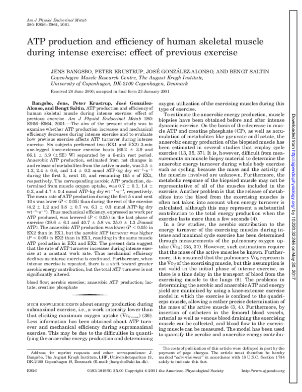 (PDF) ATP production and efficiency of human skeletal muscle during ...