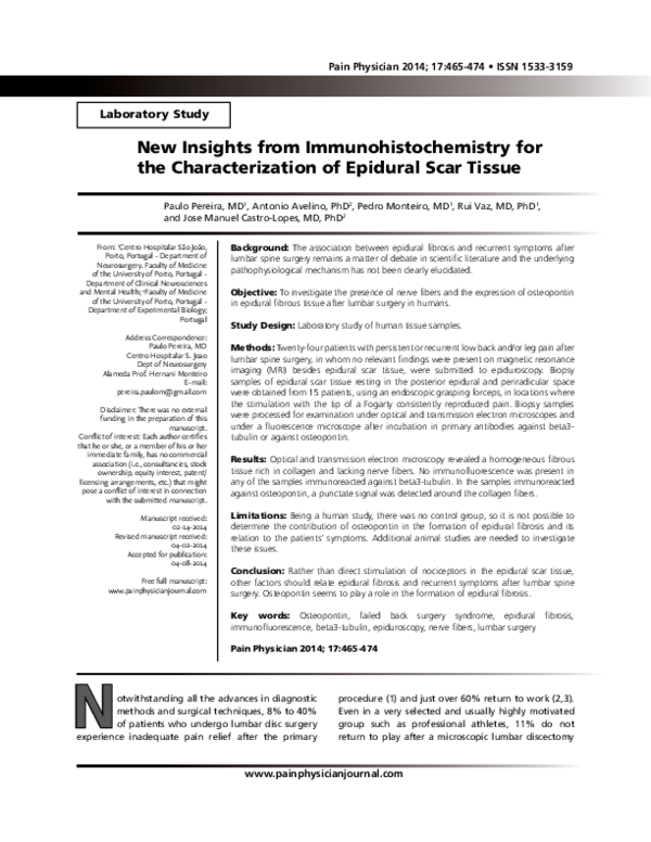 (PDF) New insights from immunohistochemistry for the characterization ...