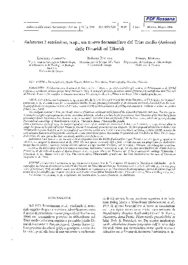 (PDF) Aulotortus ? eotriasicus, n. sp., a new Middle Triassic (Anisian ...