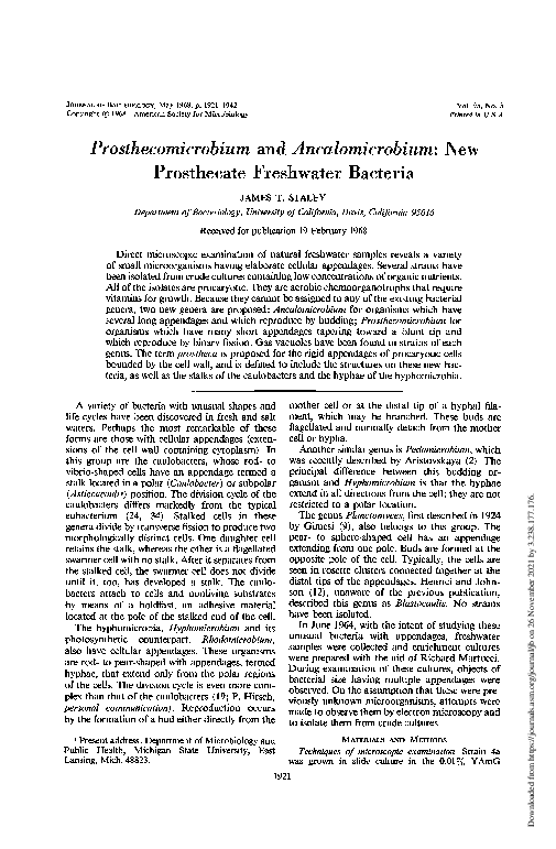 (PDF) Prosthecomicrobium and Ancalomicrobium: new prosthecate ...