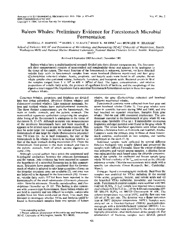 (PDF) Baleen whales: preliminary evidence for forestomach microbial ...