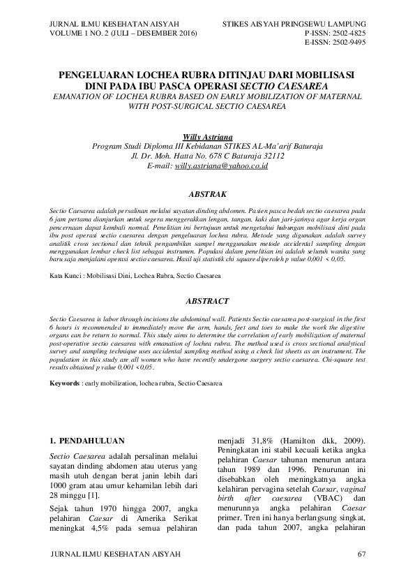 (PDF) Pengeluaran Lochea Rubra Ditinjau dari Mobilisasi Dini Pada Ibu ...