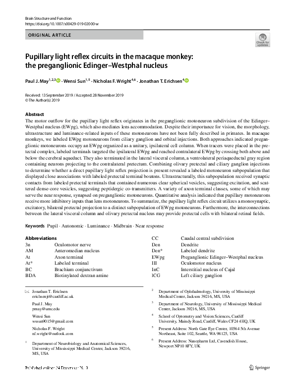 (PDF) Pupillary light reflex circuits in the macaque monkey: the ...