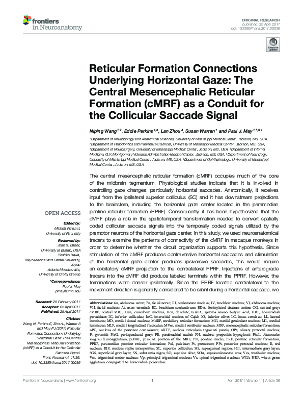 (PDF) cMRF Connectivity and Horizontal Gaze Control Mechanisms