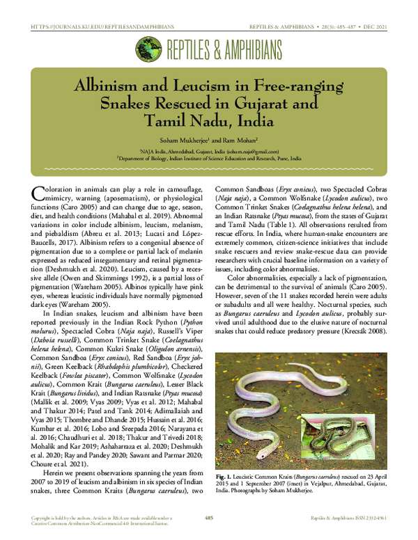 (PDF) Albinism and leucism in free-ranging snakes rescued in Gujarat ...