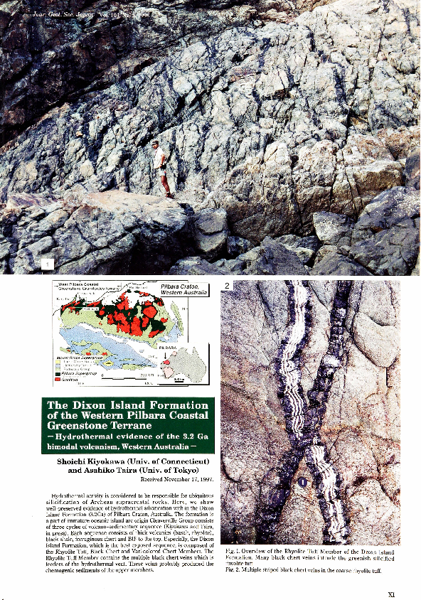 (PDF) The Dixon Island Formation of the Western Pilbara Coastal ...