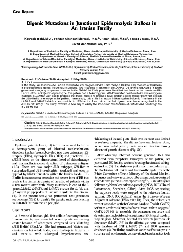 (PDF) Digenic Mutations in Junctional Epidermolysis Bullosa in An ...