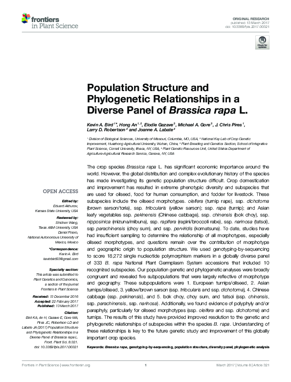 (PDF) Population structure and phylogenetic relationships of Ceutorhynchus neglectus (Coleoptera ...
