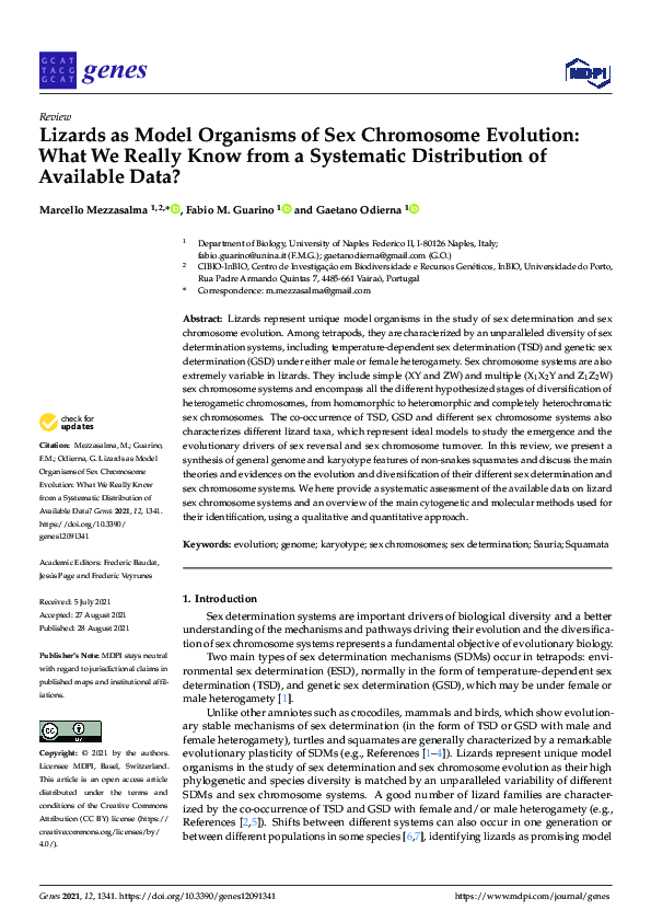 Pdf Lizards As Model Organisms Of Sex Chromosome Evolution What We