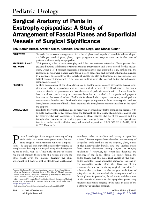 (PDF) Surgical Anatomy of Penis in Exstrophy-epispadias: A Study of ...