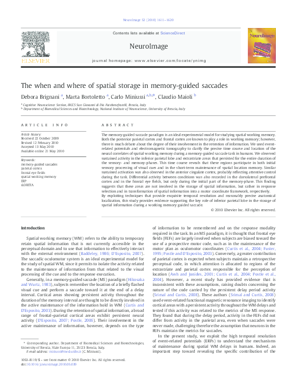 (PDF) The when and where of spatial storage in memory-guided saccades