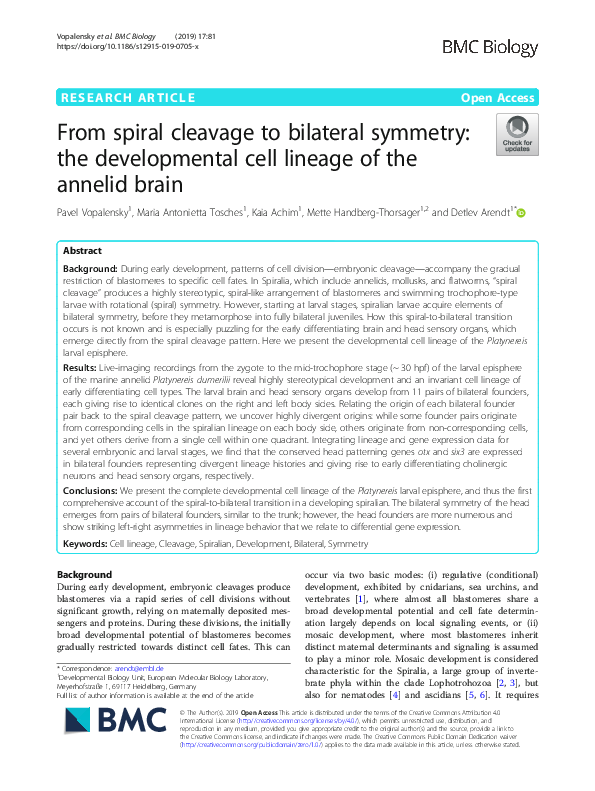 (PDF) From spiral cleavage to bilateral symmetry: the developmental ...