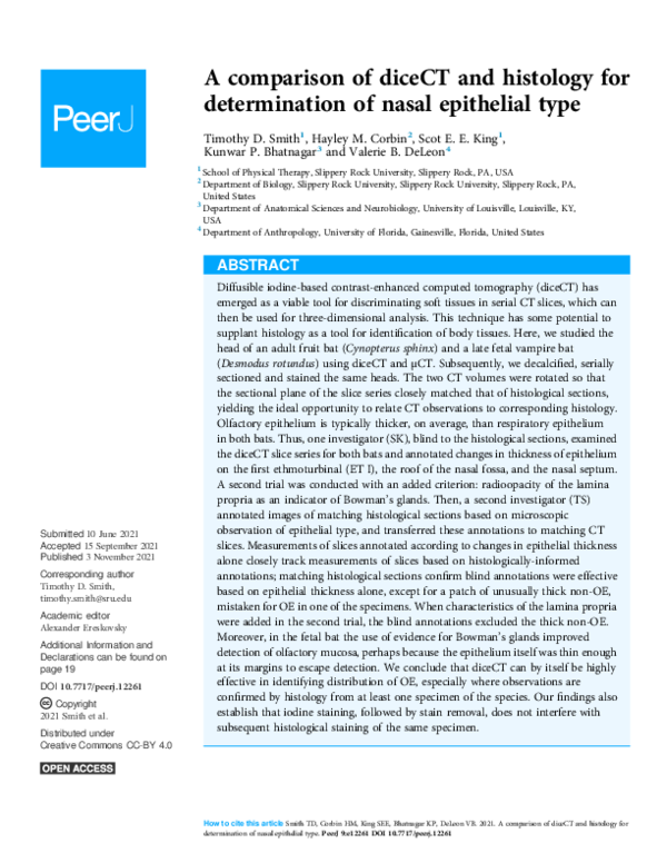 (PDF) A comparison of diceCT and histology for determination of nasal ...