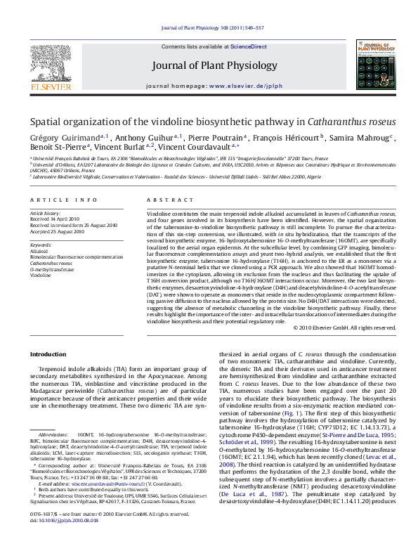 (PDF) Spatial organization of the vindoline biosynthetic pathway in ...