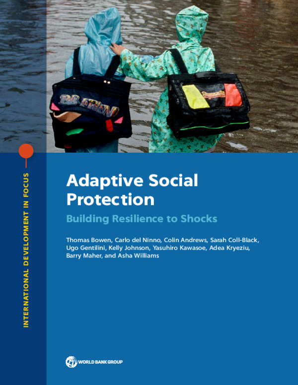 (PDF) Adaptive Social Protection: Building Resilience to Shocks | Adea ...