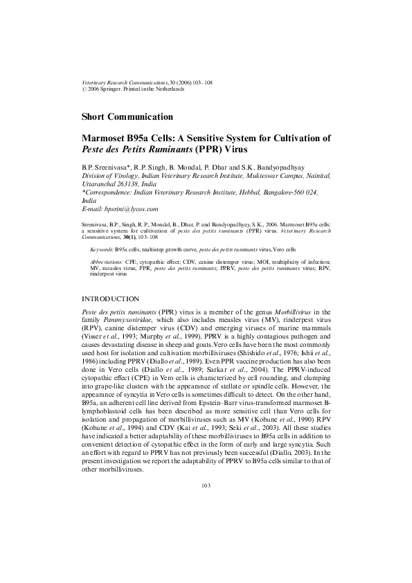 (PDF) Marmoset B95a cells: a sensitive system for cultivation of Peste ...
