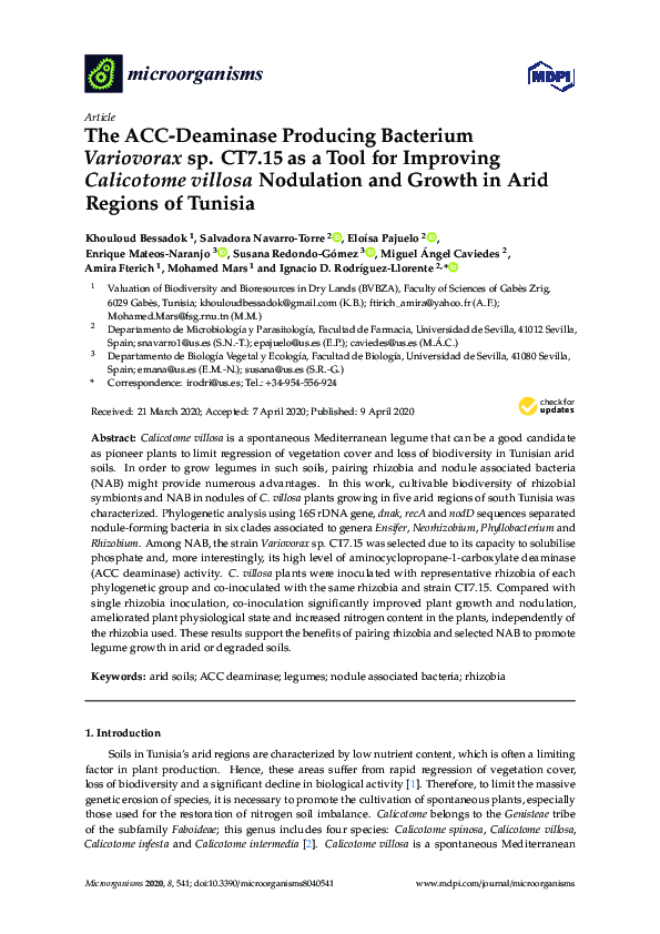 (PDF) The ACC-Deaminase Producing Bacterium Variovorax sp. CT7.15 as a ...