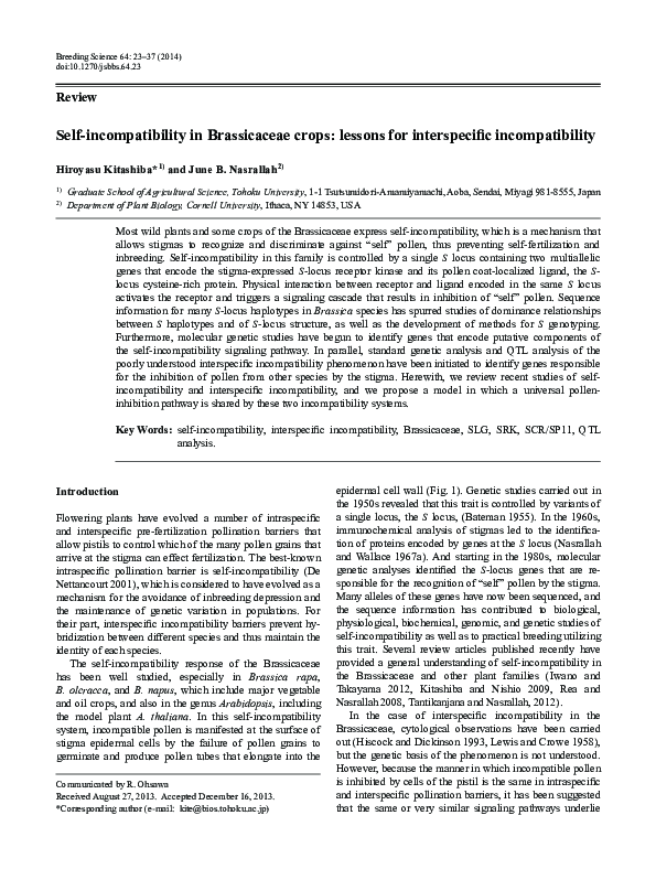 (PDF) Self-incompatibility in Brassicaceae crops: lessons for ...