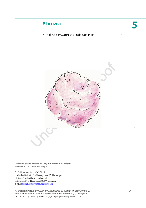 (PDF) Placozoa