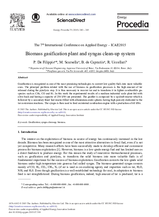 (PDF) Biomass Gasification Plant and Syngas Clean-up System☆