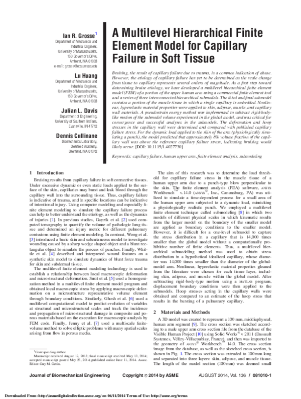 Pdf A Multi Scale Finite Element Model Of Bruising In Soft Connective Tissues Ian Grosse 3641
