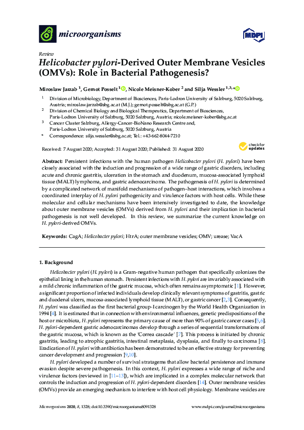 (PDF) Helicobacter pylori-Derived Outer Membrane Vesicles (OMVs): Role ...