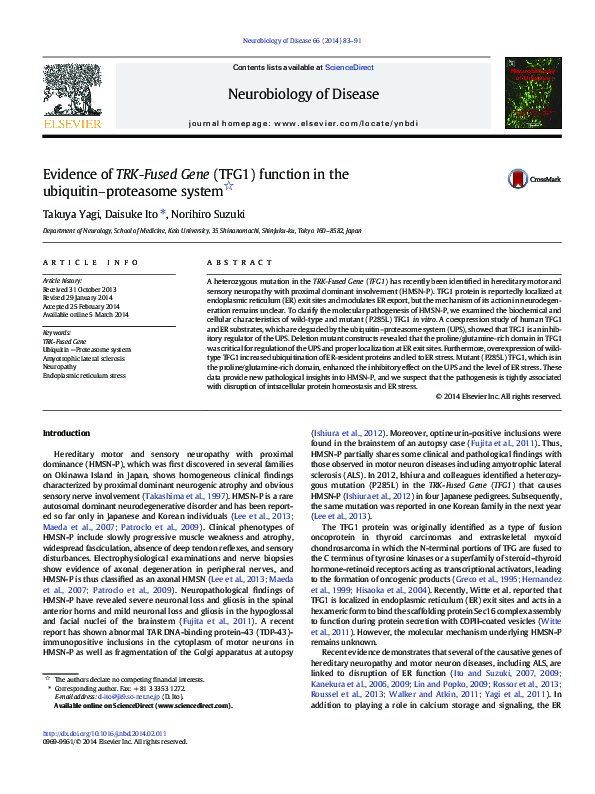 (PDF) Evidence of TRK-Fused Gene (TFG1) function in the ubiquitin ...