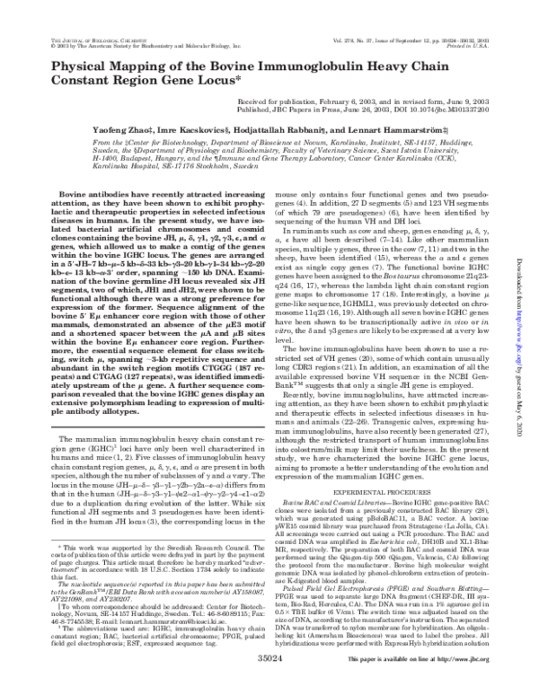 (PDF) Physical Mapping of the Bovine Immunoglobulin Heavy Chain ...