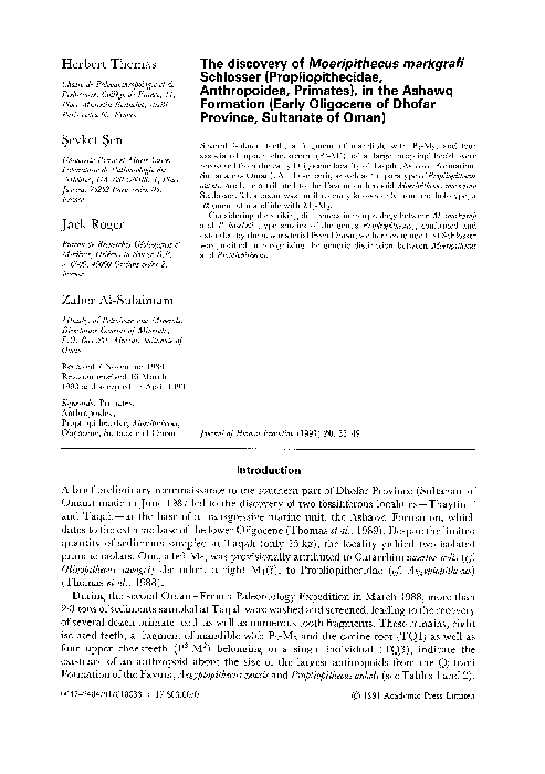 (PDF) The discovery of Schlosser (Propliopithecidae, Anthropoidea ...