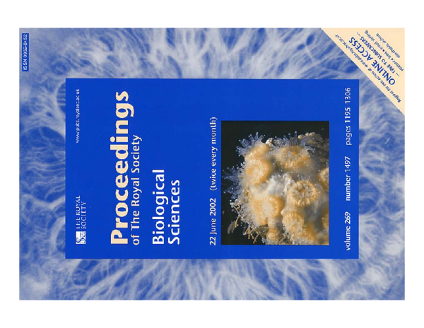 (PDF) Endolithic algae: an alternative source of photoassimilates ...