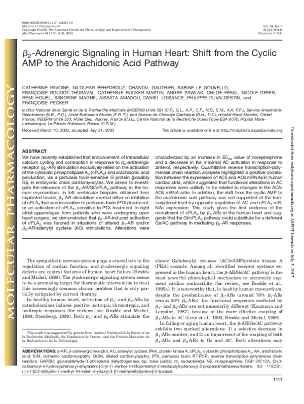 (PDF) beta2-Adrenergic signaling in human heart: shift from the cyclic ...