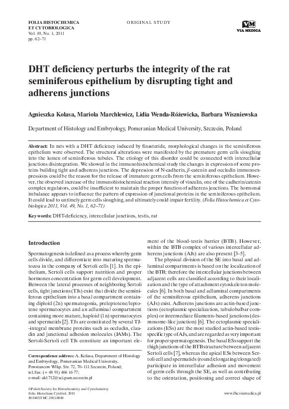 (PDF) DHT deficiency perturbs the integrity of the rat seminiferous ...