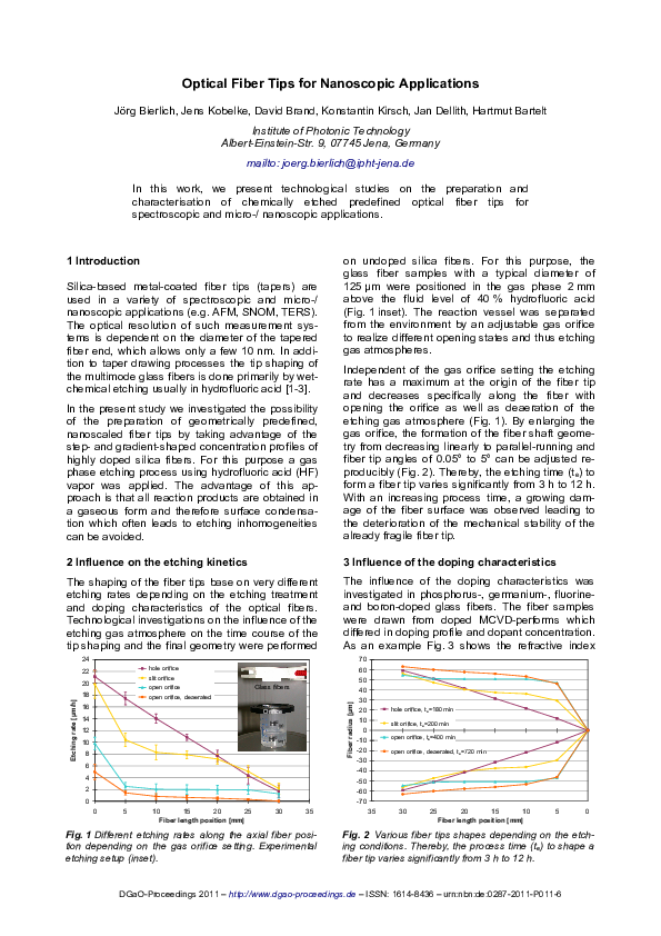 (PDF) Optical Fiber Tips for Nanoscopic Applications