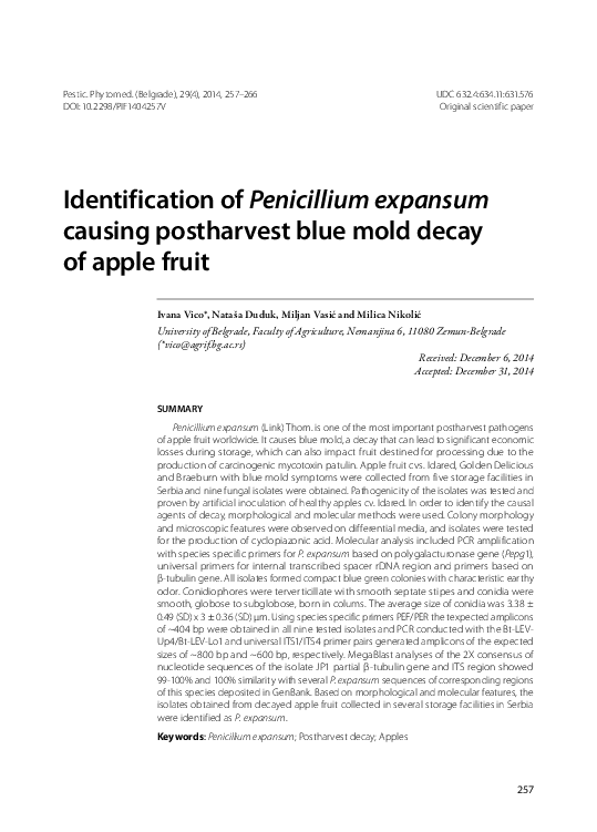 (PDF) Identification of Penicillium expansum causing postharvest blue ...