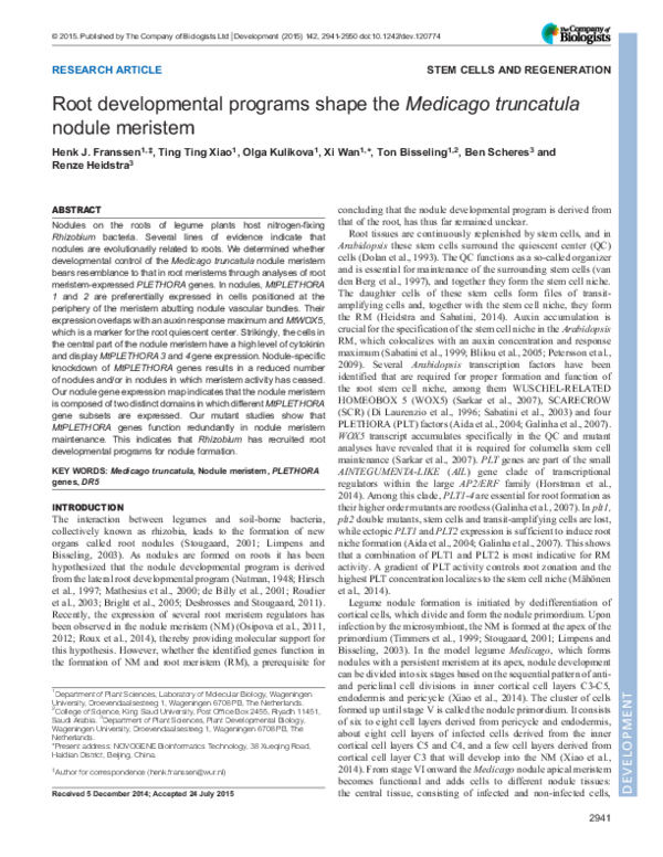 (PDF) Root developmental programs shape the Medicago truncatula nodule ...