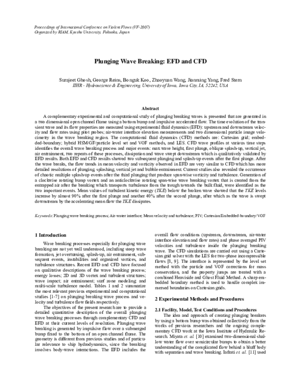 (PDF) Plunging Wave Breaking: EFD and CFD