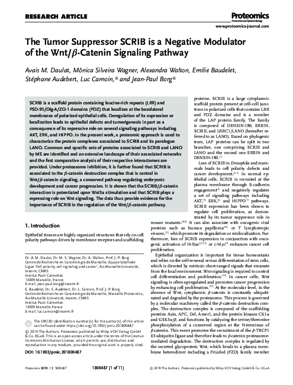 (PDF) The Tumor Suppressor SCRIB is a Negative Modulator of the Wnt/β ...
