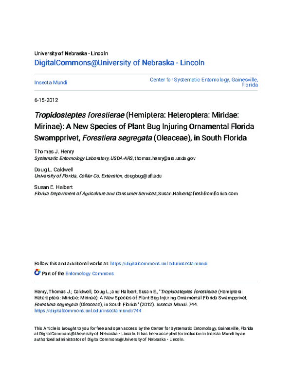 (PDF) Tropidosteptes forestierae (Hemiptera: Heteroptera: Miridae ...