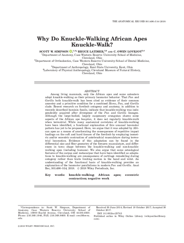 (PDF) Why Do Knuckle-Walking African Apes Knuckle-Walk?