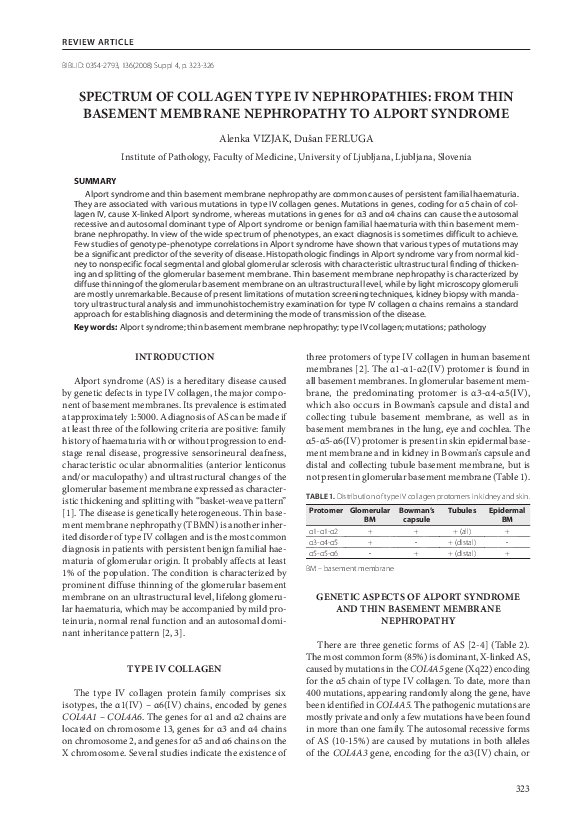 (PDF) Spectrum of collagen type IV nephropathies: from thin basement ...