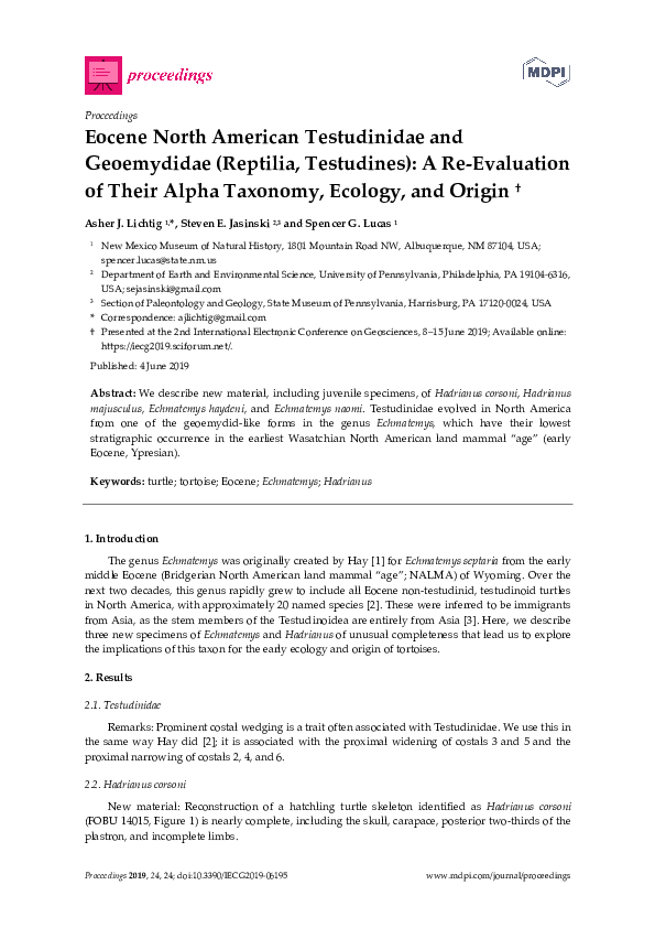 (PDF) Eocene North American Testudinidae and Geoemydidae (Retilia ...