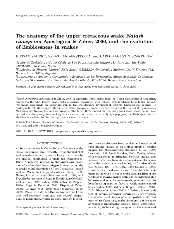 (PDF) The anatomy of the Upper Cretaceous snake Najash rionegrina ...