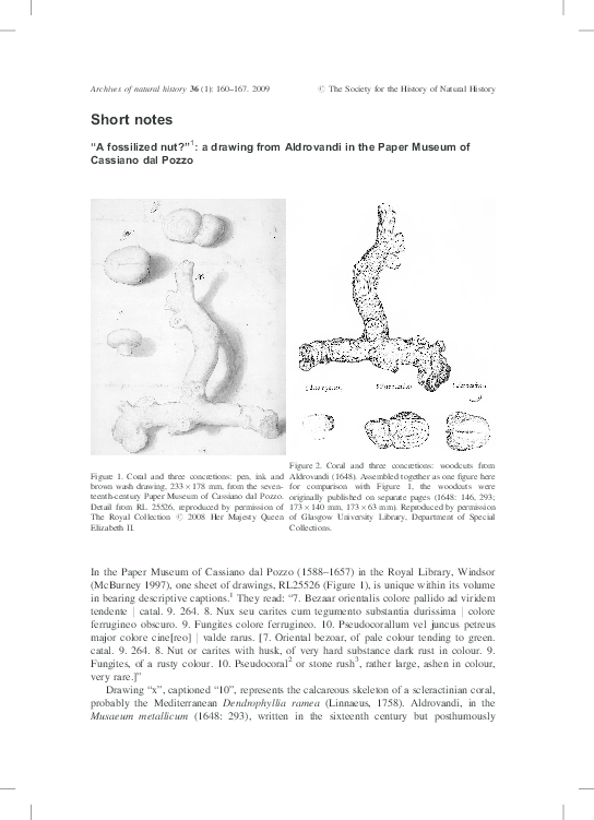 (PDF) "A fossilized nut?" : a drawing from Aldrovandi in the Paper ...