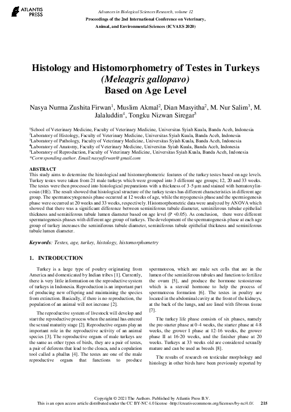 (PDF) Histology and Histomorphometry of Testes in Turkeys (Meleagris ...