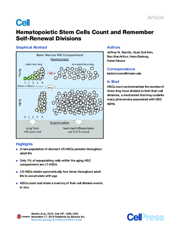 (PDF) Hematopoietic Stem Cells Count and Remember Self-Renewal Divisions