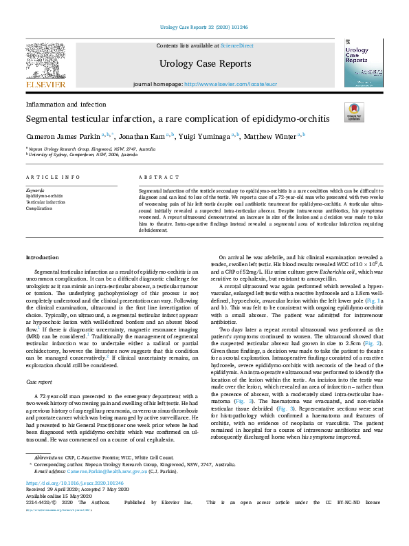 (PDF) Segmental testicular infarction, a rare complication of epididymo ...