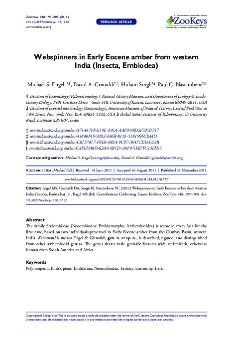 (PDF) Webspinners in Early Eocene amber from western India (Insecta ...