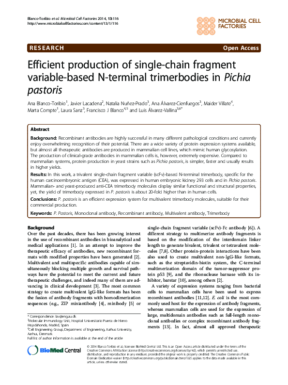 (PDF) Efficient production of single-chain fragment variable-based N ...